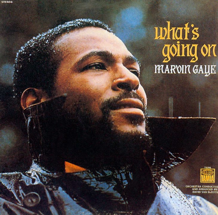 Marvin Gaye Who2