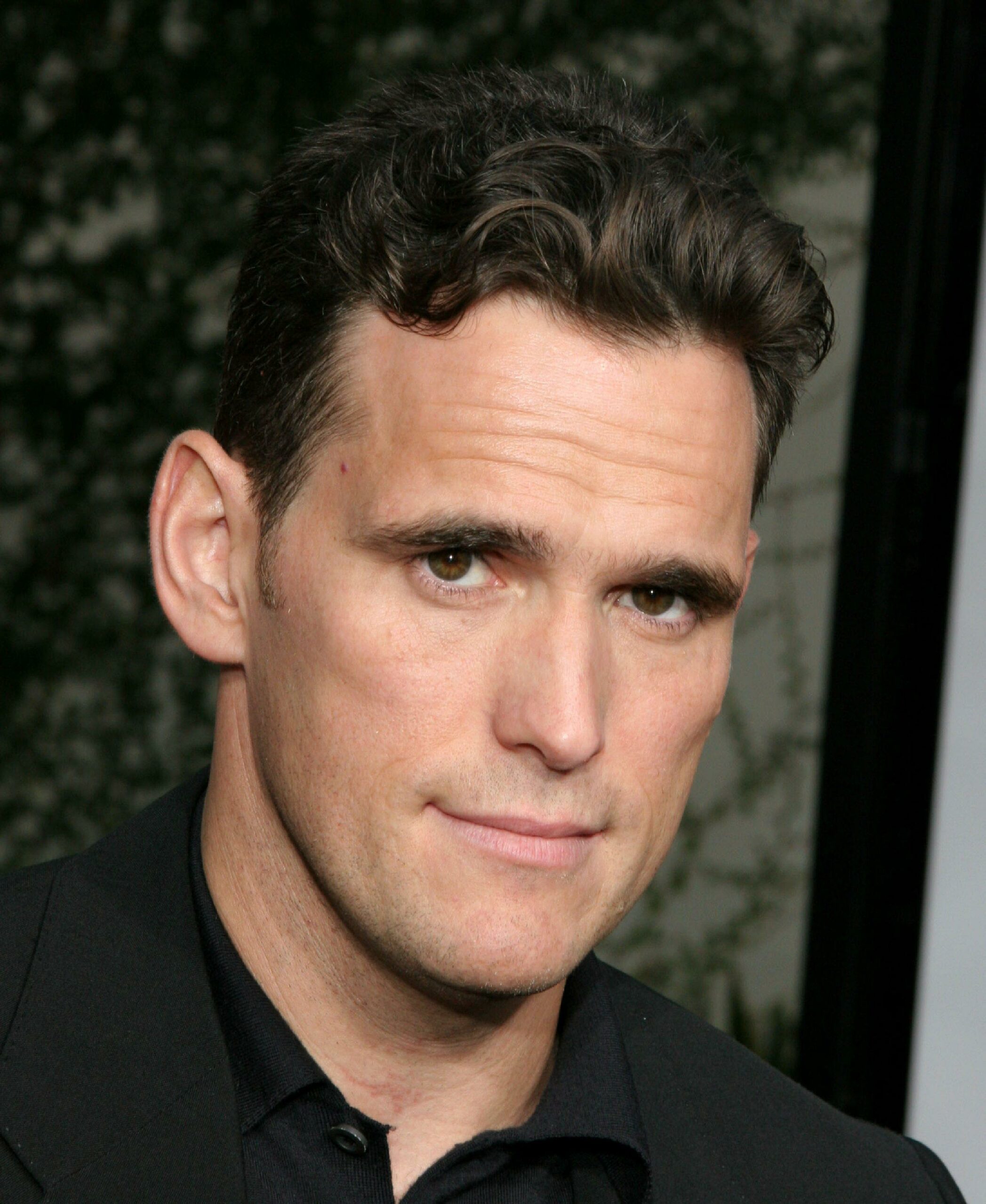 Matt Dillon Wife