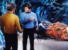 Who Was the Horta on ‘Star Trek’? | Who2