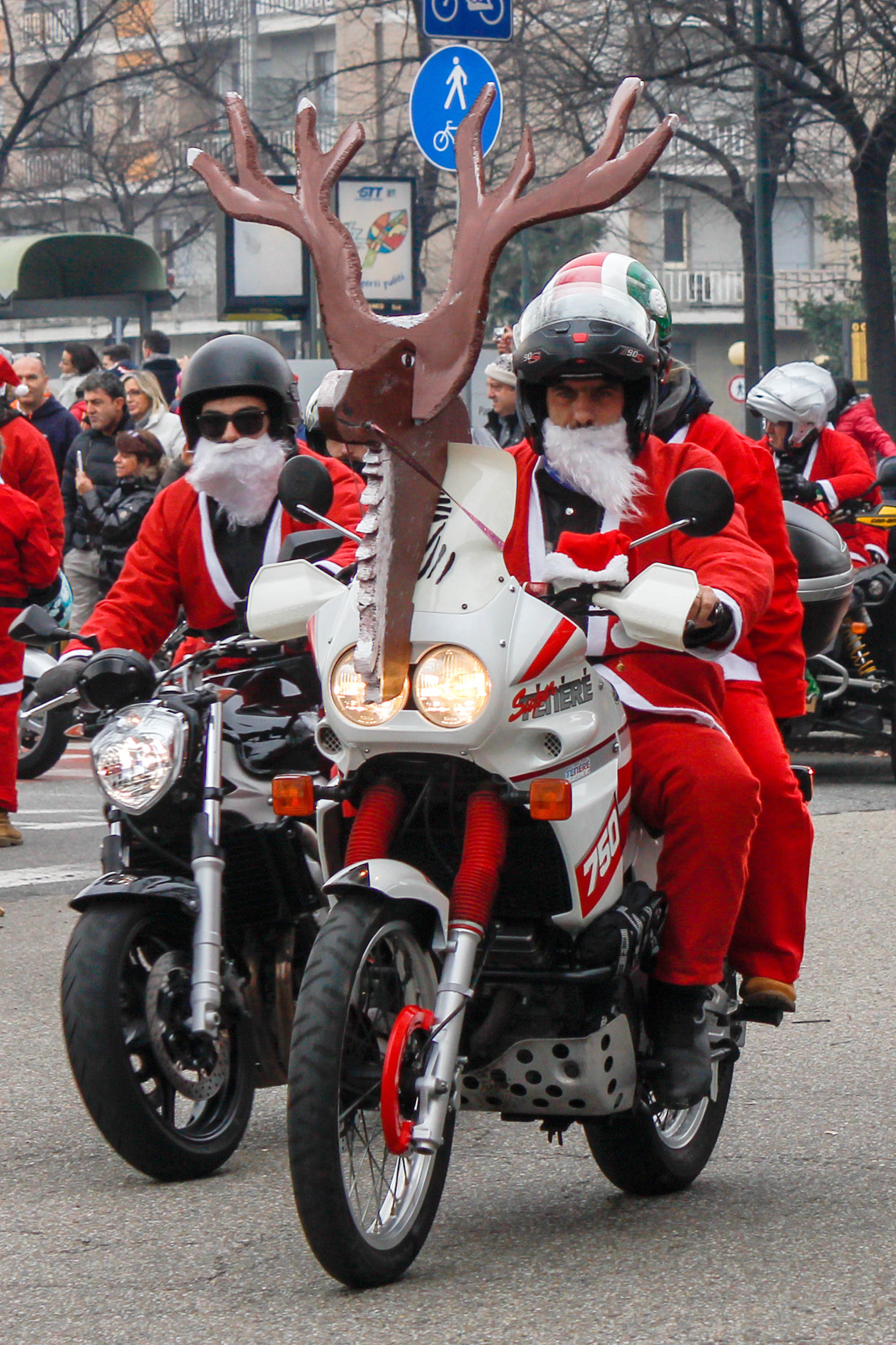 Santa Claus Photos with Pandas, Rhinos and Hogs | Who2